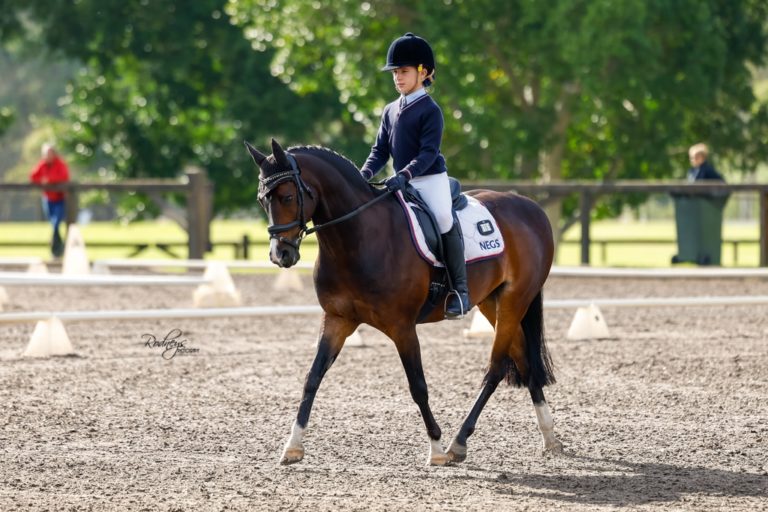 Equestrian Programme at NEGS | Ride & Learn