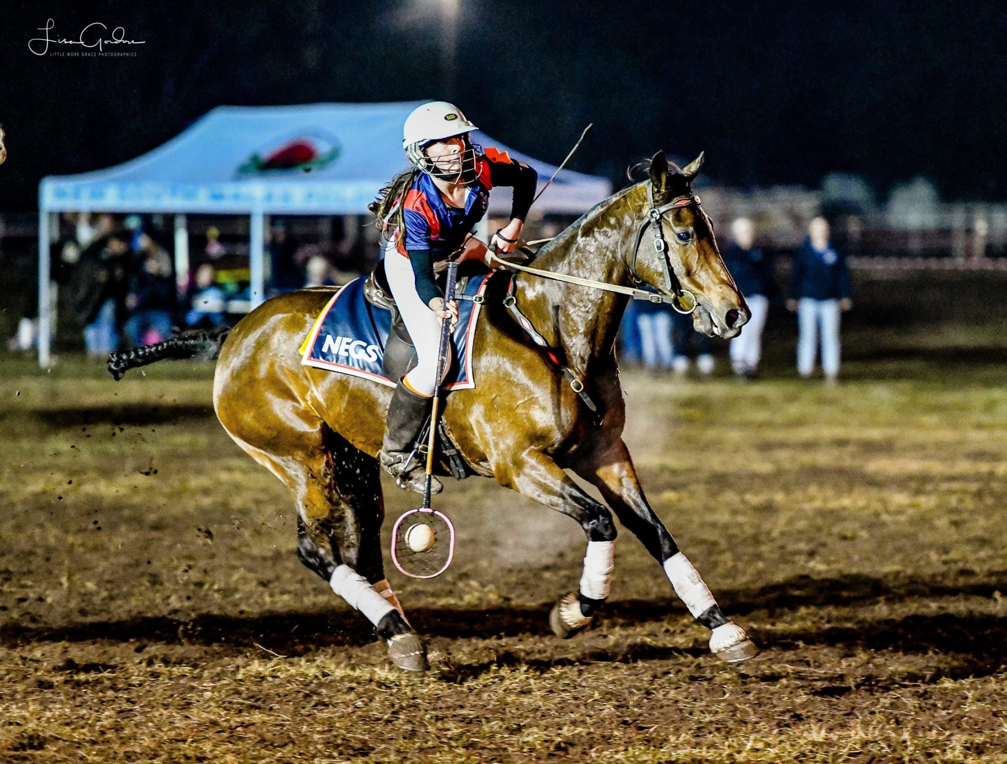 Equestrian Programme at NEGS | Ride & Learn