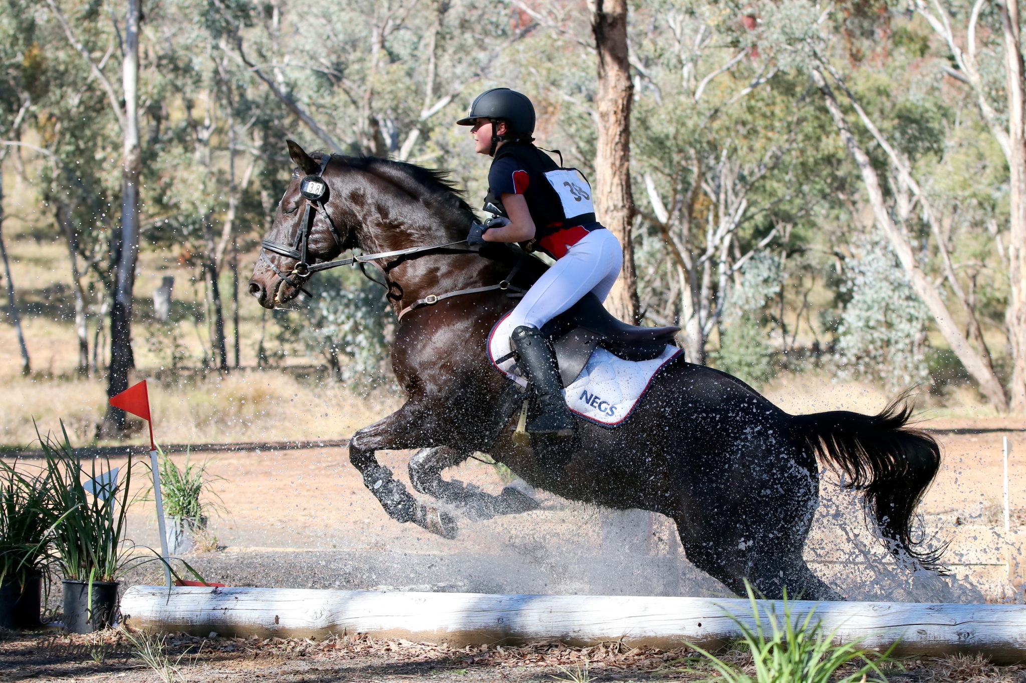 Equestrian Programme at NEGS | Ride & Learn